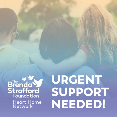 theBSF.ca | Community Supports